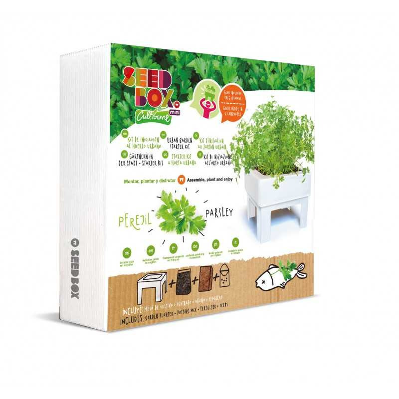 huerto urbano perejil