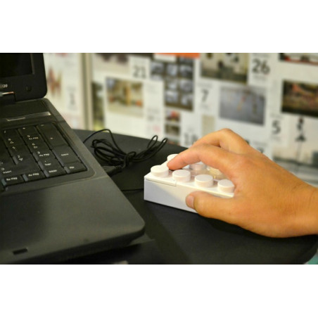 Ratón construcción "The Brick Mouse"